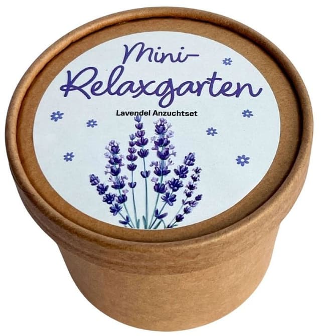 Wunderle Anzuchtset Mini Relaxgarten Lavendel online bestellen | MÜLLER