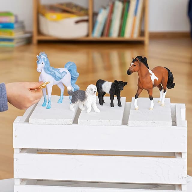 Schleich 13969 - Farm World - Galloway Kalb online bestellen | MÜLLER