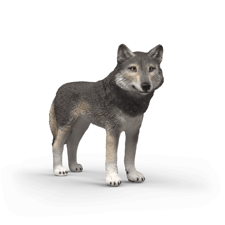 Schleich 14991 - Wild Life - Amerikanischer Wolf online bestellen | MÜLLER