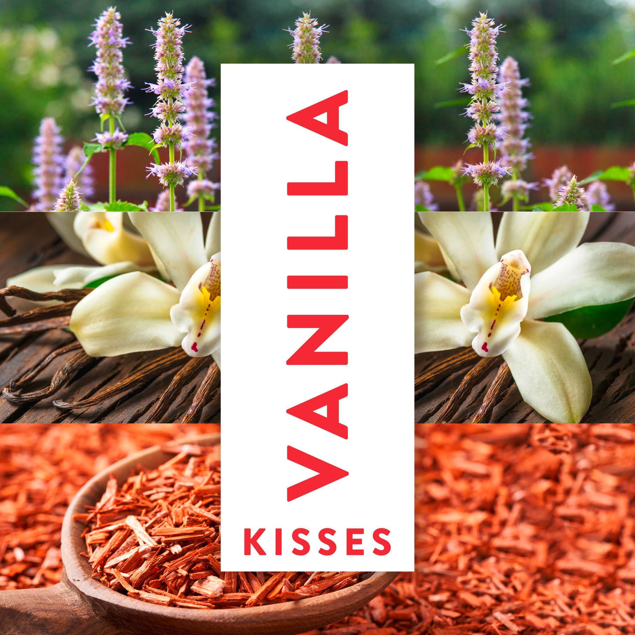 Impulse Vanilla Kisses Body Fragrance online bestellen | MÜLLER