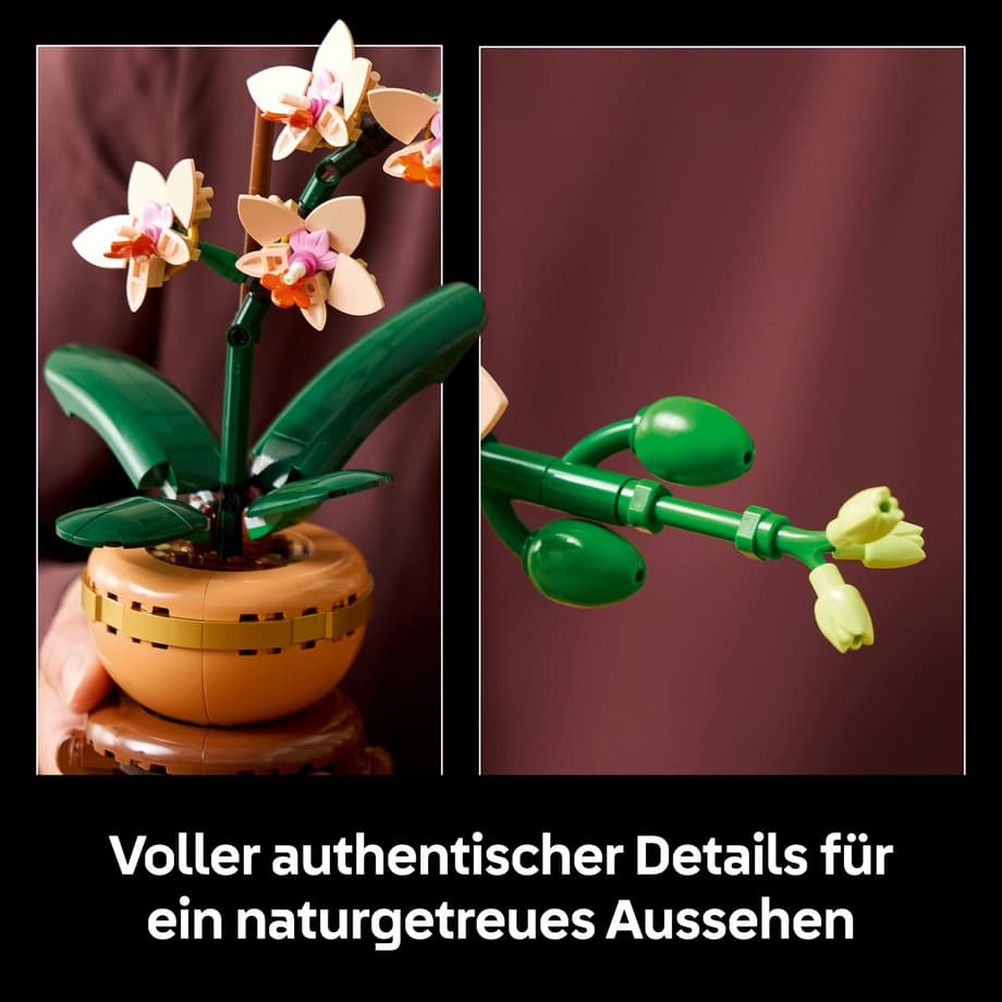 LEGO Botanicals Mini-Orchidee, Kunstblumen Set für Erwachsene 10343 ...